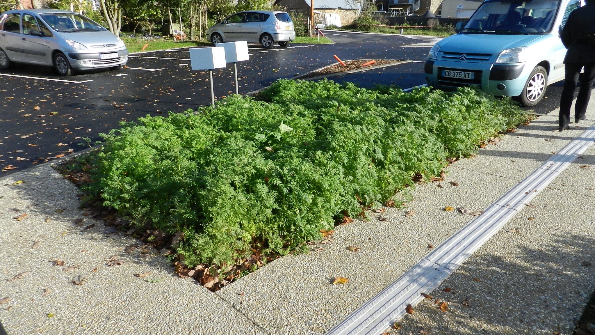 Schéma de trame verte et bleue sur la CC du Val d’Ille (35) – BRUDED