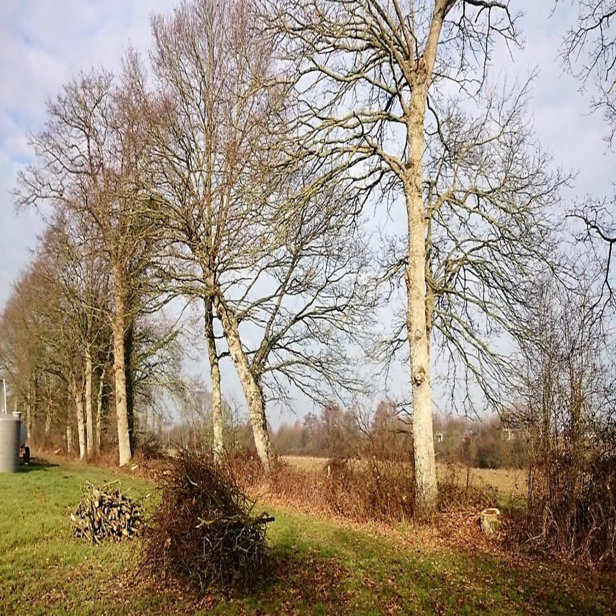 Schéma de trame verte et bleue sur la CC du Val d’Ille (35) – BRUDED