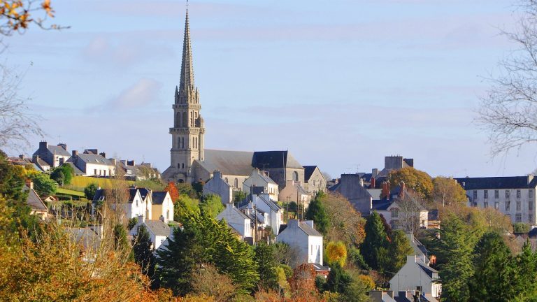 Elliant (29) – BRUDED