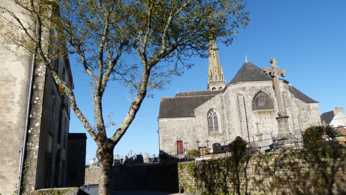 Elliant (29) – BRUDED