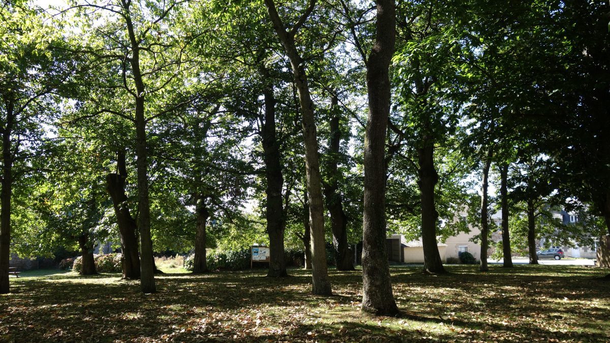 Runan (22) – BRUDED